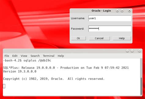 use oracle radius agent with oracle advanced authentication for multi