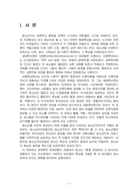 2023년 1학기 청소년지도방법론 중간시험과제물 공통생태학적 체계모형의 관점 중간기말과제