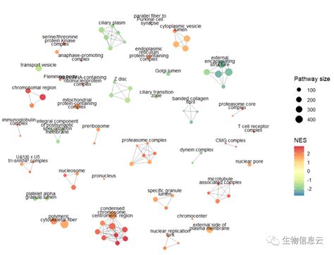 Apear：一个用于通路富集网络自主可视化的r包 腾讯云开发者社区 腾讯云