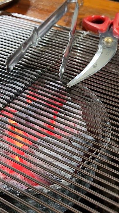 숯불고기 먹기전에 가위랑 집게 숯위에 잠깐 올려두면 소독아닐까요 Youtube