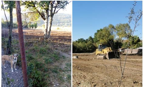 Разширяват кучешкия приют на Община Перник