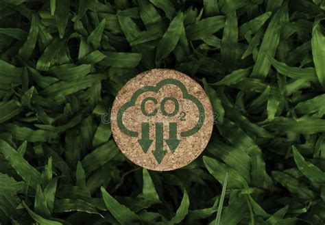 Co2 Reducing Icon Print Screen On Wooden And Green Grass For Decrease