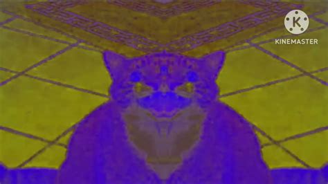 Shortest Video On Youtube Effects Effects In Confusion Youtube