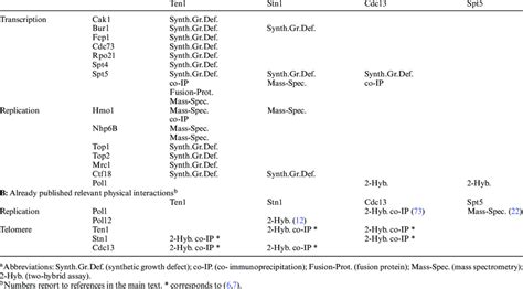 Summary Of Genetic And Physical Interactions Between The Cst Complex