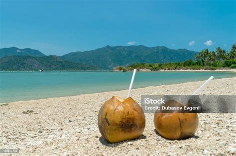 잘 익은 코코넛 한 쌍과 열대 지방의 해변에서 모래에 흰색 빨대를 마시고 휴가 과일에 대한 스톡 사진 및 기타 이미지 과일 관광 관광 리조트 Istock