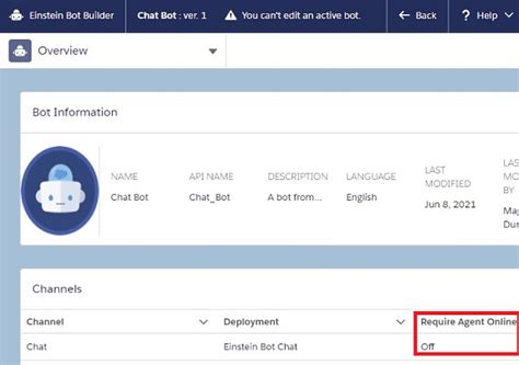 Agent Offline Issue When Einstein Bot Is Configured In Salesforce Infallibletechie