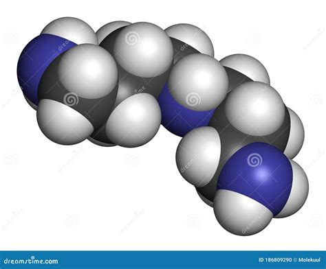 Spermidine Molecule Molecular Structures Polyamine 3d Model Structural Chemical Formula And