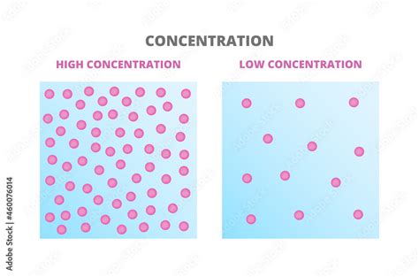 Vector Scientific Illustration Of Concentration Isolated On White Low Concentration And High