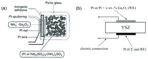 Schematic Device Structures For Electrochemical Gas Sensors A Nh 4