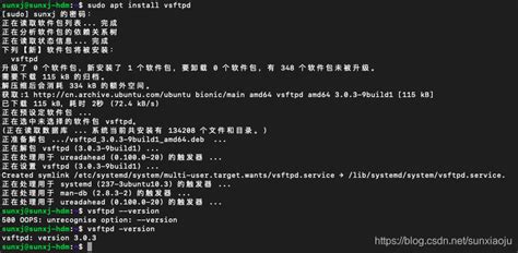 ubuntu18 04安装ftp服务 ubuntu18 04搭建ftp服务器的步骤 csdn博客
