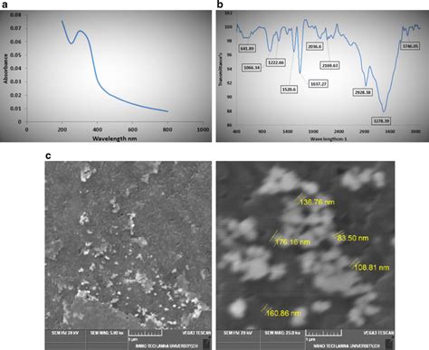 A Uv Vis Spectrum Of Biogenic Agnps Displaying Surface Plasmon