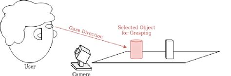 Figure 2 From Semi Synthetic Dataset Augmentation For Application Specific Gaze Estimation