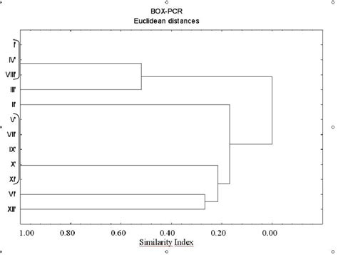 Dendrogramma Ottenuto Dallanalisi Dei Cluster Di Impronte