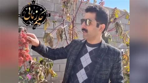 خواص گیاه کرچک و گل پنیرک از نگاه طب سنتی