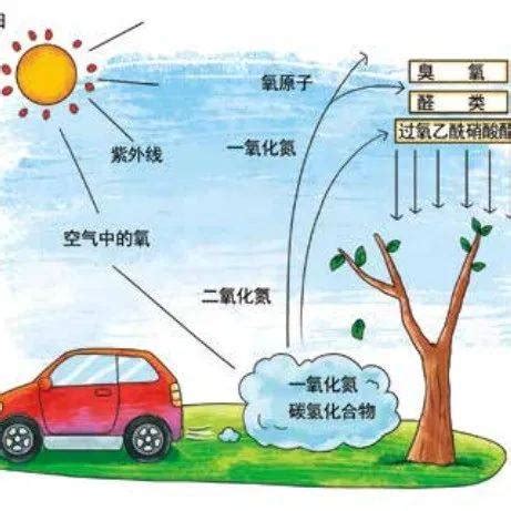 臭氧知识科普2 臭氧跟光化学烟雾PM2 5有什么关系 污染物 排放 污染源