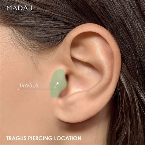 Tragus Piercing Full Guide Madaj Piercings