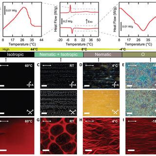 Mechanical Anisotropy Induced By Anisotropic Structure A Pore Size Download Scientific