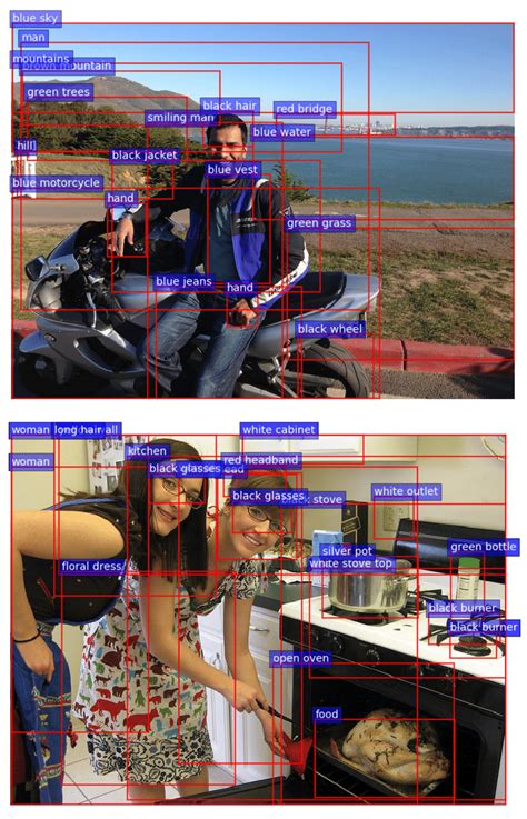 Example Output From Faster R Cnn Bottom Up Attention Model From