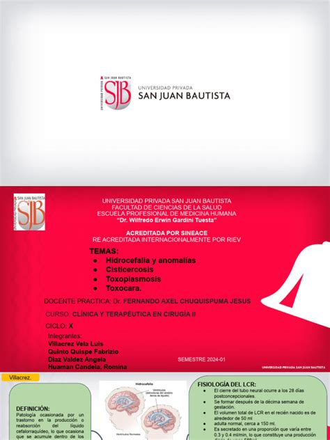 Hidrocefalia Toxocariasis Cisticercosis Toxoplasmosis Pdf Fluido Cerebroespinal