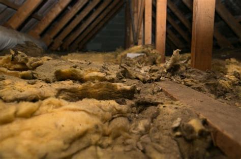 Isolation Des Combles Faut Il Enlever Lancien Isolant