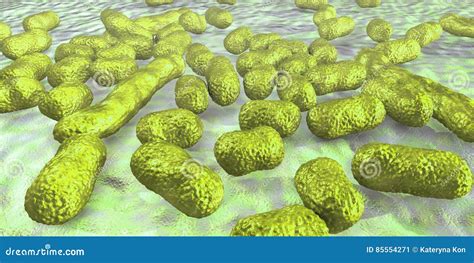 Bacterium Acinetobacter Baumannii Stock Illustration Illustration Of Epidemic Biofilm 85554271