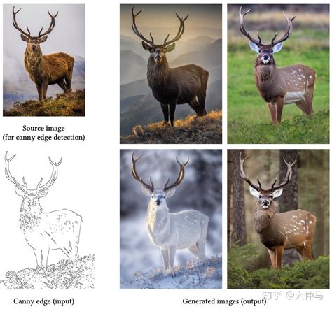 扩散模型 Diffusion Model 首篇综述 Diffusion Models A Comprehensive Survey Of Methods And Applications 知乎