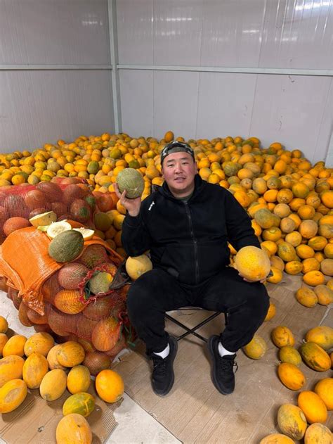 Баян өлгий аймаг Алтай таван богд Их Бага түргэний хүрхрээ зорих гэж байгаа аялагчид бэлтгэл