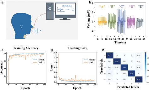 Combination Of Cips‐based Peng And Deep Learning Techniques As A Sensor Download Scientific