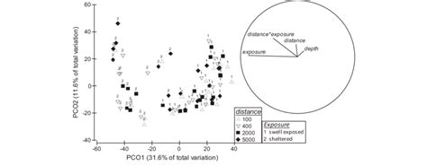 Pco Ordination Of The Total Algal Assemblage Per Transect Showing Download Scientific Diagram