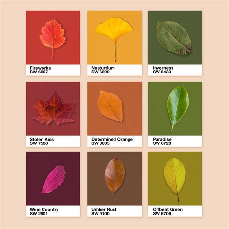 Tom Monaghan Cfe Posted On Linkedin