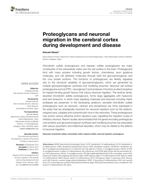 Pdf Proteoglycans And Neuronal Migration In The Cerebral Cortex During Development And Disease