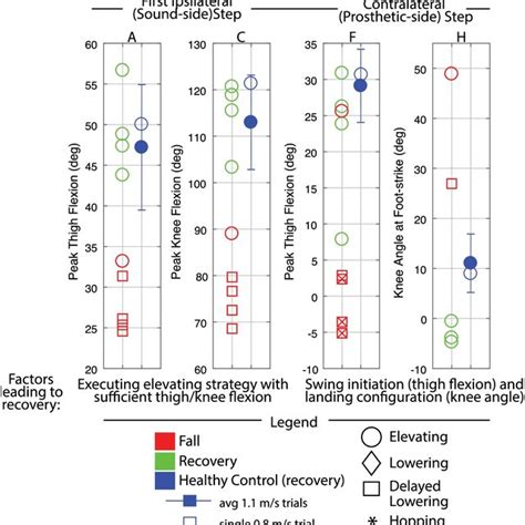 Early Swing Discrete Summary Metrics Lower Limb Dynamics These Plots Download Scientific