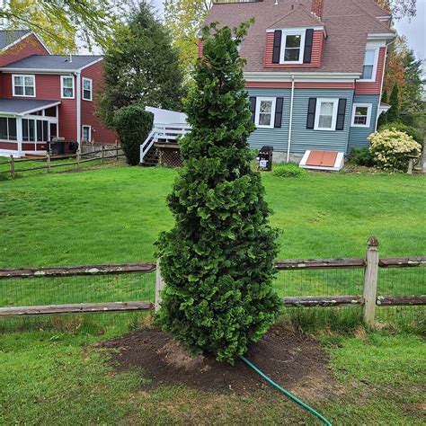 Grass Gurus Landscape Grassguruslandscape • Instagram Photos And Videos