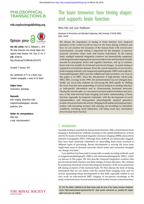 PDF The Brain Timewise How Timing Shapes And Supports Brain Function