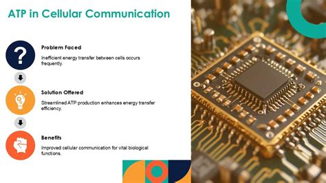 Atp Process PPT Template ACP PPT Example