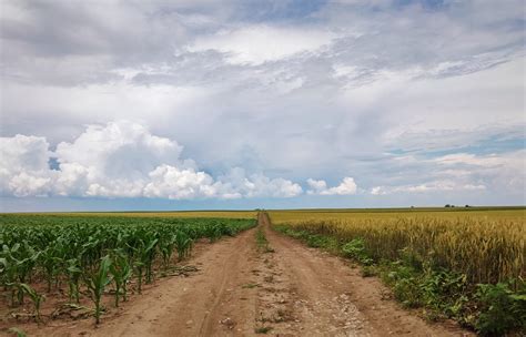 РЗС објавио ранг листу пријављених кандидата за пописиваче Градске инфо