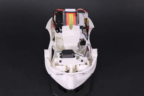 Ez Inmoov Robot Head