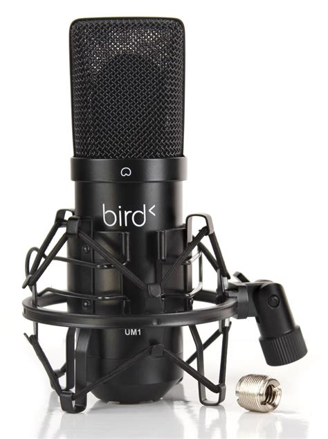 Bird Um1 Microphone Usb Noir Amazonfr Instruments De Musique