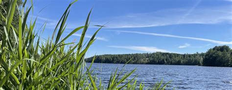 CSC Summer Babe In High Performance Computing 2025 CSC