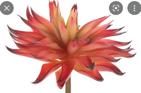 Complicated Blender Rig R Blenderhelp