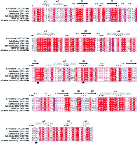 Protein Sequence Alignment Of Keratinase And Other Proteases By ESPript Download Scientific