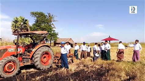 မုဒုံမြို့နယ်တွင် ဆီထွက်သီးနှံ နေကြာ ကို စိုက်ဧက ၁၁၀၀ စိုက်ပျိုးသွားမည