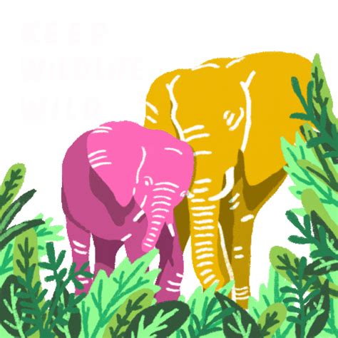 World Elephant Day Stickers Find And Share On Giphy