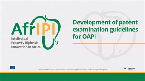 Development Of Patent Examination Guidelines For Oapi Afripi