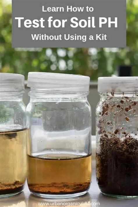 How To Test Soil PH At Home Without A Test Kit