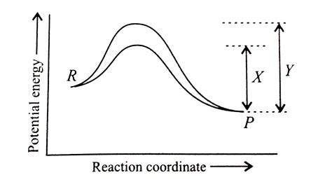 What Effect Does A Catalyst Have On The Activation Energy Of A Reaction