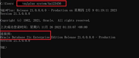 Oracle 21c 入门到项目开发在线视频教程 Csdn程序员研修院