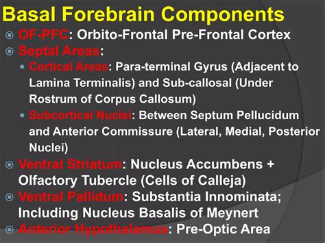 Basal Forebrain Components Schizophrenia Limbic Connections