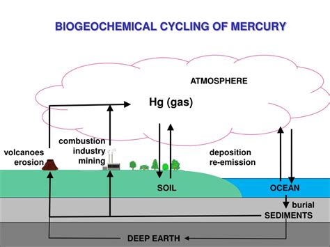 Mercury Global