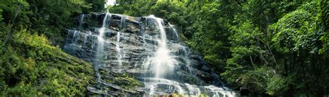 Insights And Resources Mindset Safety Management Blog